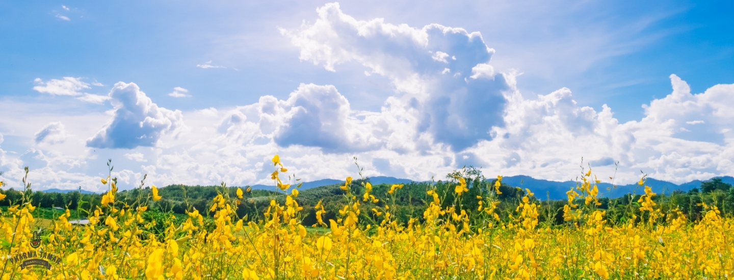 חנות PURE | מותגים נבחרים מבית פארמה תמר | מעיין חיים